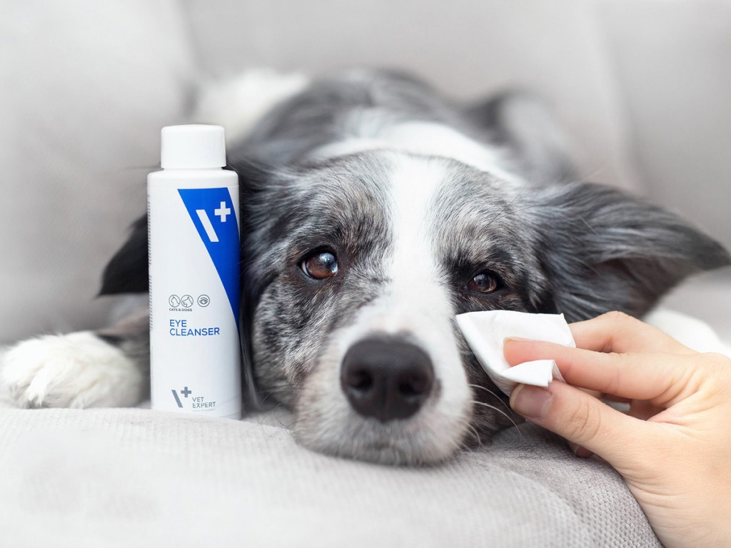 Eye care - VET EXPERT - your partner in pet care.